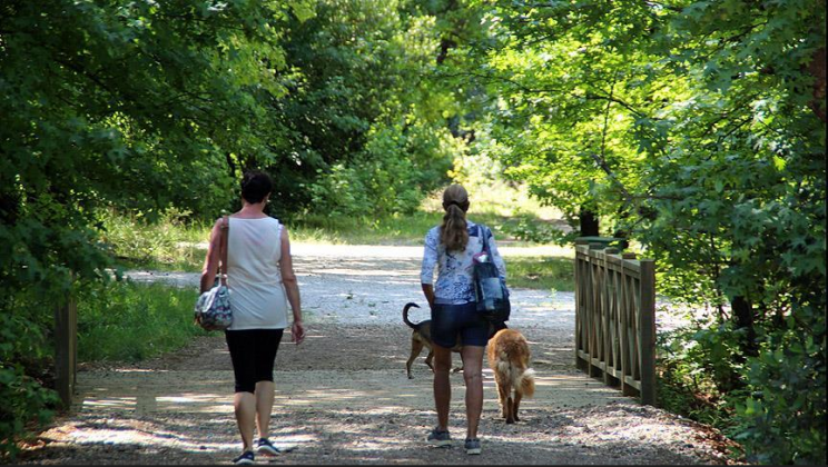 Bokep gatuso yupi this lady seems way more comfortable with