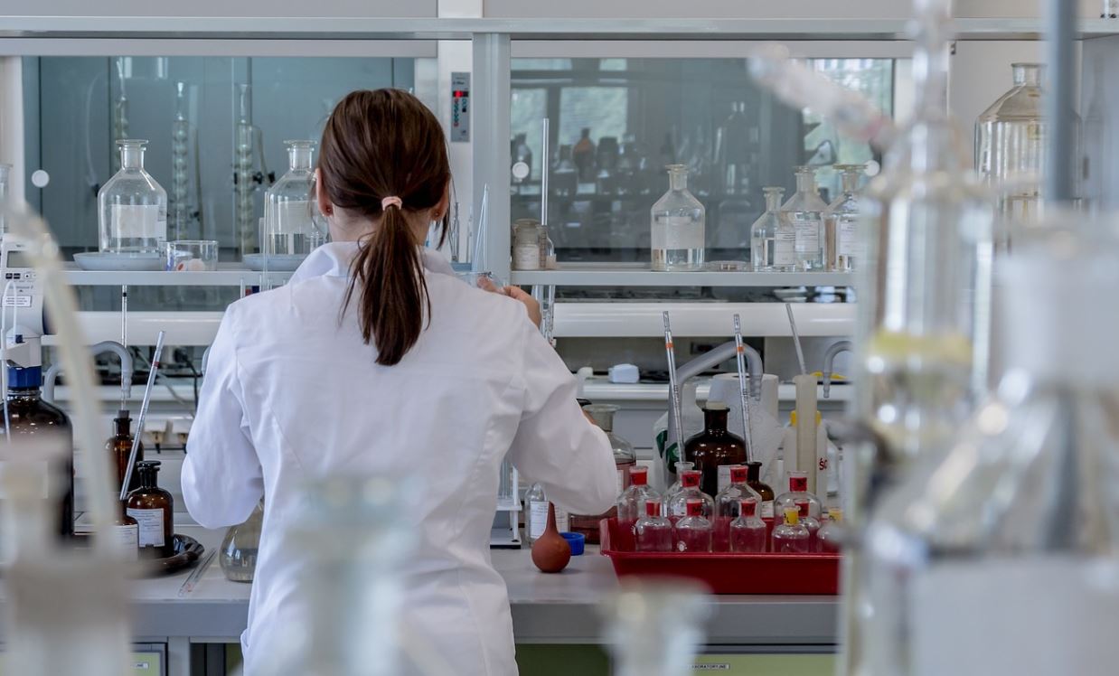 Immer mehr Fachkräfte kommen mit Bluecard | nex24.news